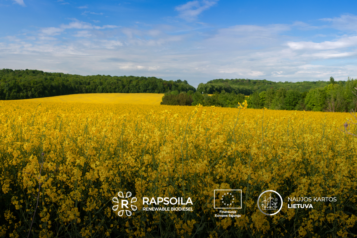 ES Investicijos – Rapsoila – Renewable biodiesel. Biodegalai, biokuras ...